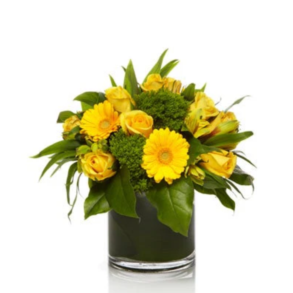 Keren's Sunshine – Miriam Blooms